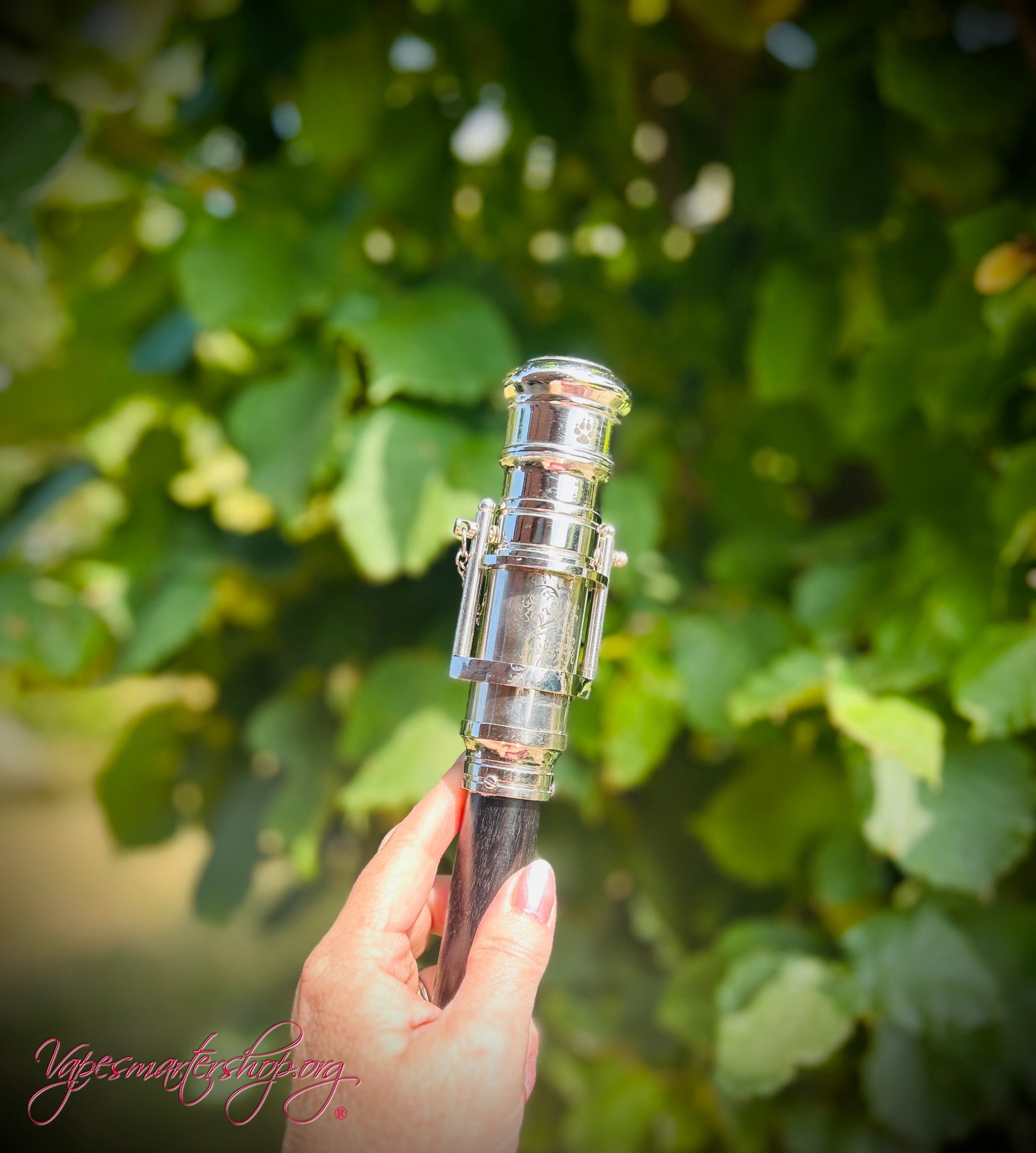 Regulated Evolv Dna Boro Mods – Vapesmarter.org